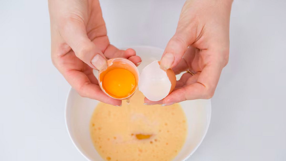 Kuning Telur Warna Pucat Vs Oranye, Mana yang Lebih Bergizi? Kuning Telur Warna Pucat Vs Oranye, Mana yang Lebih Bergizi?