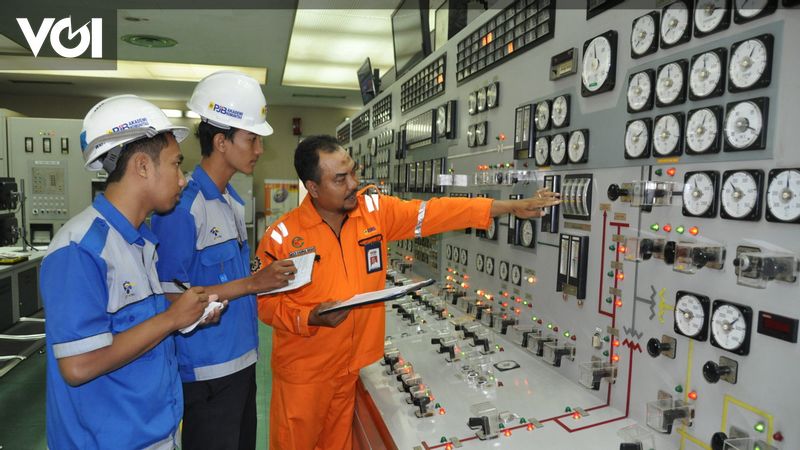 PJB Catat Penggunaan Biomassa Untuk Co-firing PLTU Paiton Unit 1 dan 2 ...