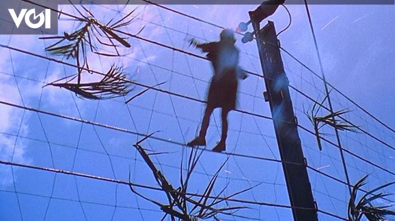 Pekerja Instalasi Kabel Rekanan PLN Tewas Tersengat Aliran Listrik di ... Pekerja Instalasi Kabel Rekanan PLN Tewas Tersengat Aliran Listrik di ...