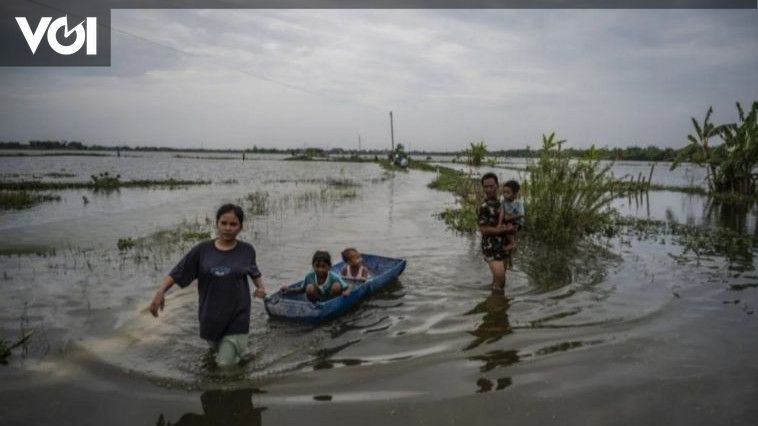 37 Villages In Demak Flooded, BNPB: Broken Sungai Tuntang Embankment ...