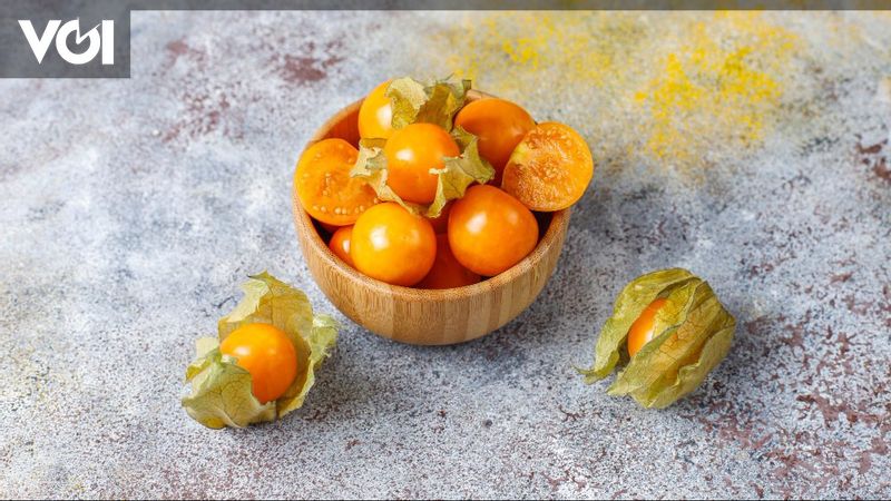 Can Ciplukan Fruits Be Eaten Crudely? Watch Out For This Side Effect