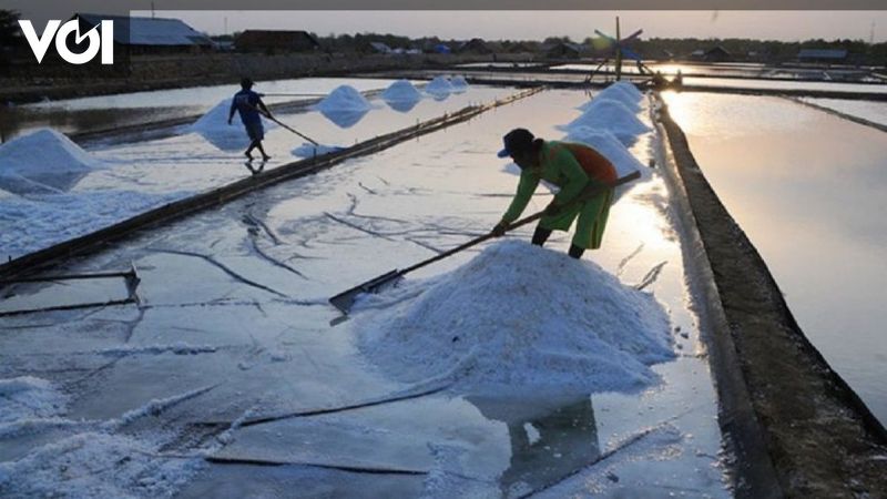 Supply Continues To Be Thin, Revision Of Industry Salt Import Ban Rules ...