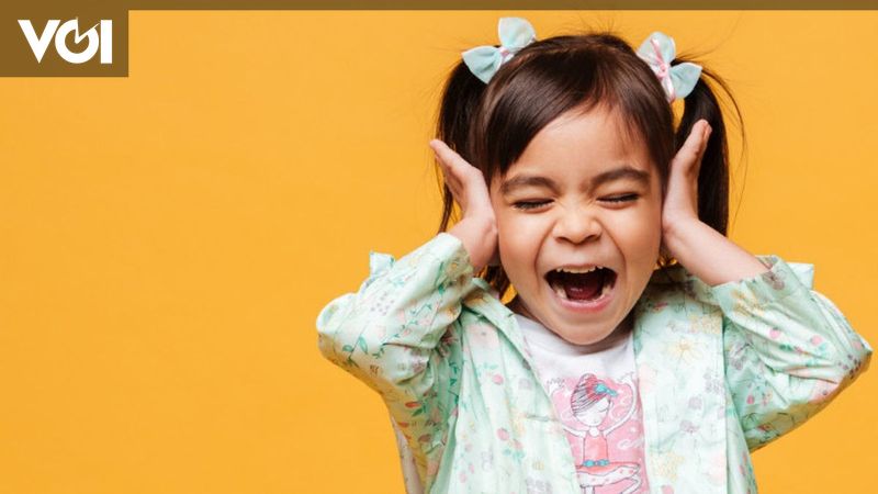 The Value Of A Noise Threshold That Can Be Accepted By Humans